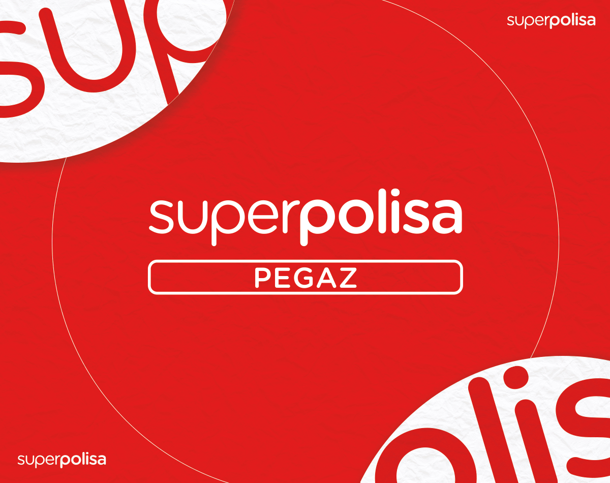 Superpolisa.pl PEGAZ - Podsumowanie roku 2022 | Superpolisa - znajdź ...